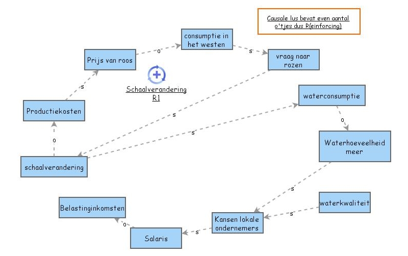 Rozenkwekerij Ruth, Judith, Johan | Insight Maker
