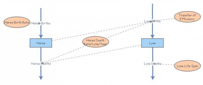 Hares and Lynx | Insight Maker