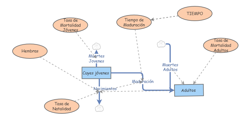 pROYECTO cUYES | Insight Maker