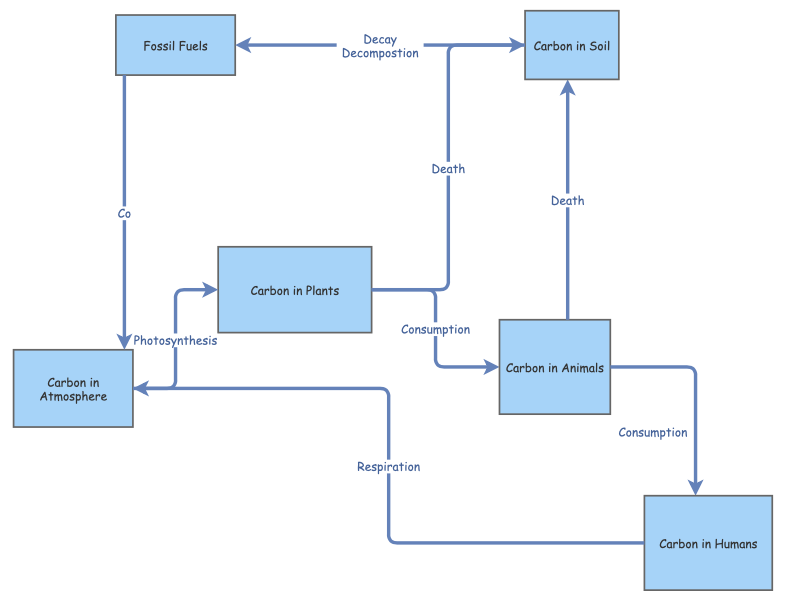 Carbon in Plants | Insight Maker