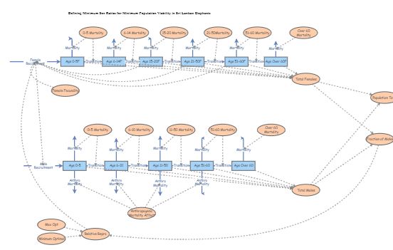 Sri Lankan Elephants_470 Group Project | Insight Maker