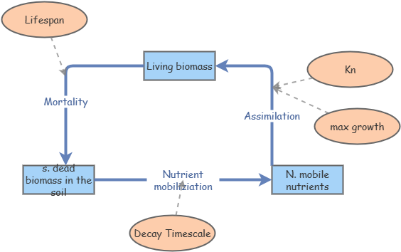 Clone of Esci 100A Forest clearcut | Insight Maker