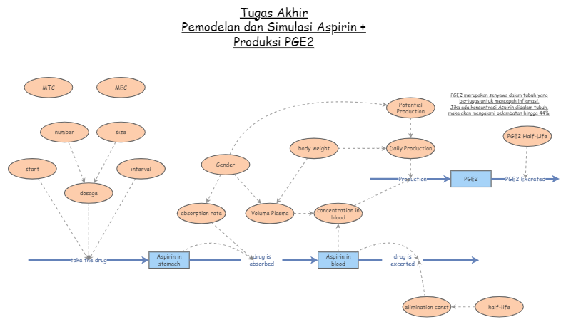 PGE2 + ASPIRIN | Insight Maker