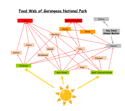 Gorongosa Food Web | Insight Maker