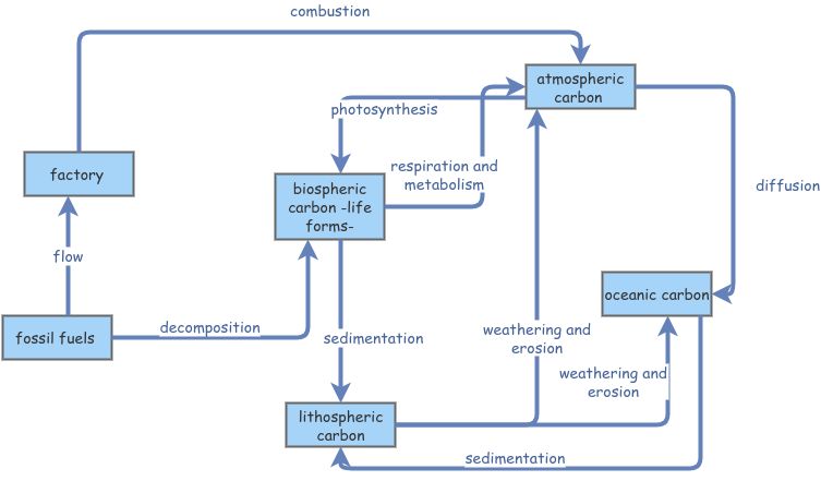 carbon stock and flows | Insight Maker