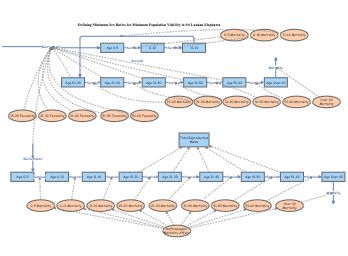 Clone of Sri Lankan Elephants_470 Group Project | Insight Maker