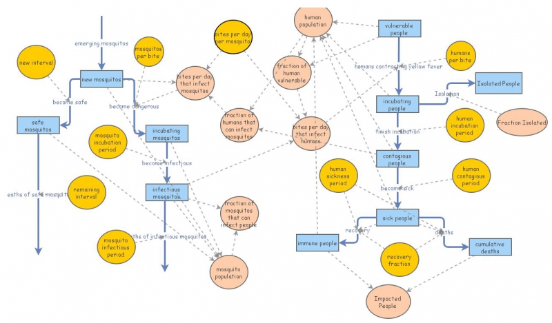 Yellow Fever with Isolation (Full Model) | Insight Maker