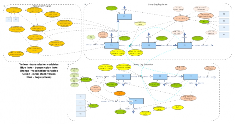 Rabies Model | Insight Maker
