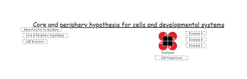 Core and periphery hypothesis for cells and developmental systems | Insight Maker