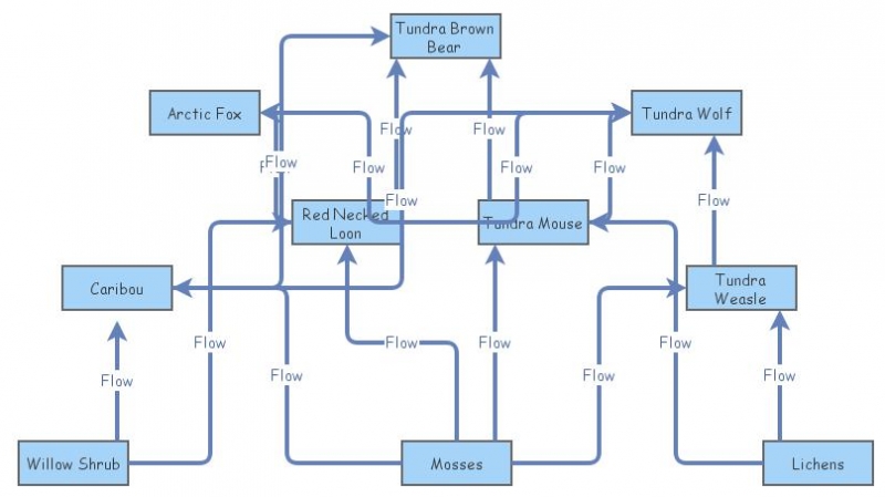 Tundra Food Web | Insight Maker