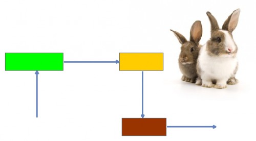 Rabbits Grass & Wolves | Insight Maker