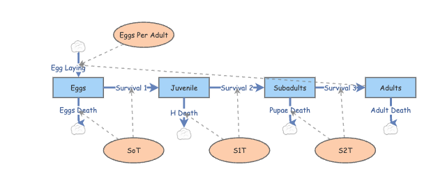 Leslie Model (Math Modeling) | Insight Maker