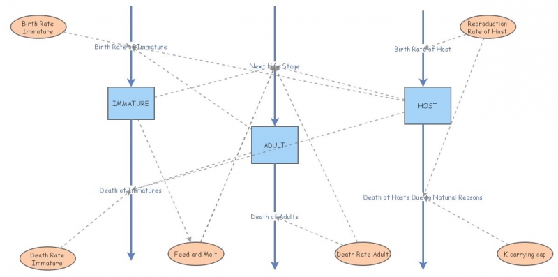 Soft_Bodied_Ticks | Insight Maker