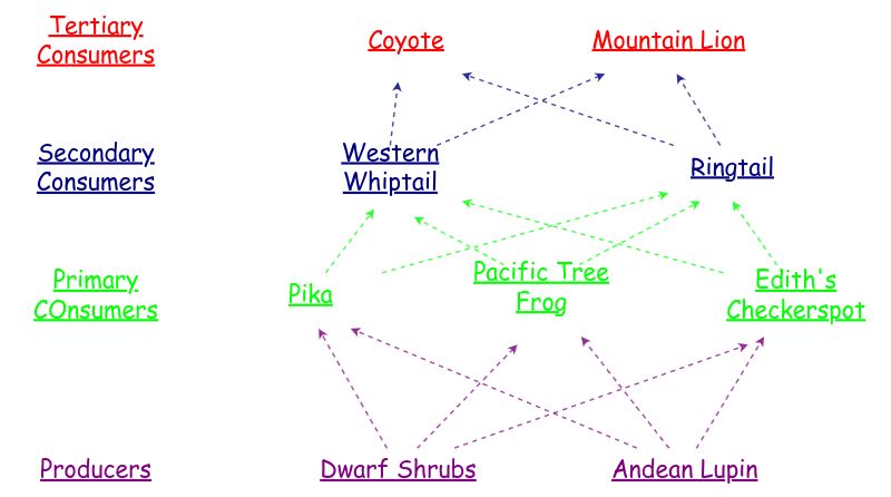 Alpine Tundra Food Web | Insight Maker