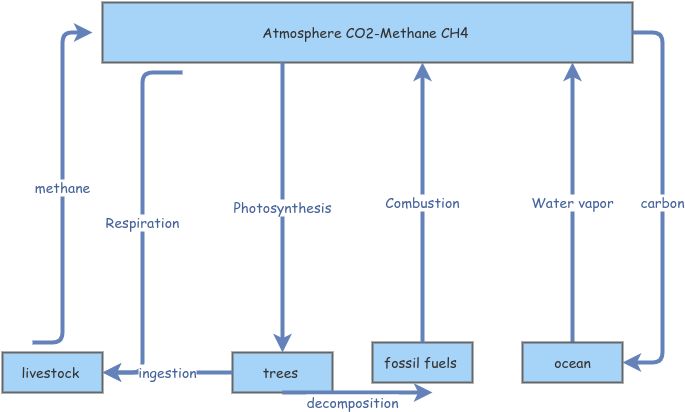 Liam Fisher instight flow chart | Insight Maker