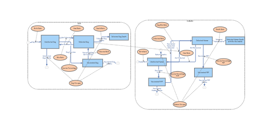 Proyek TPS: Penyebaran Rabies | Insight Maker