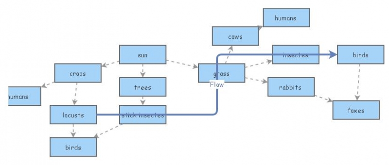 food chain web thing | Insight Maker