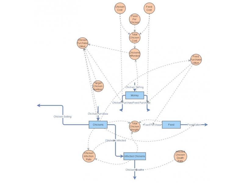 Chickens | Insight Maker