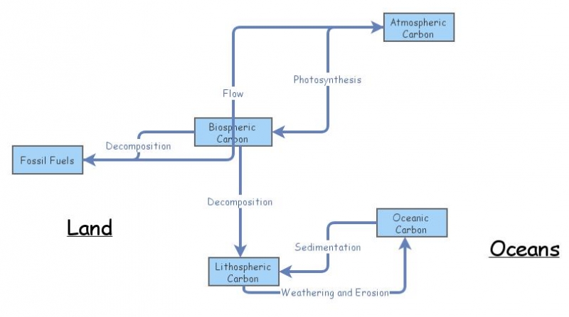Stock and flow water cycle | Insight Maker