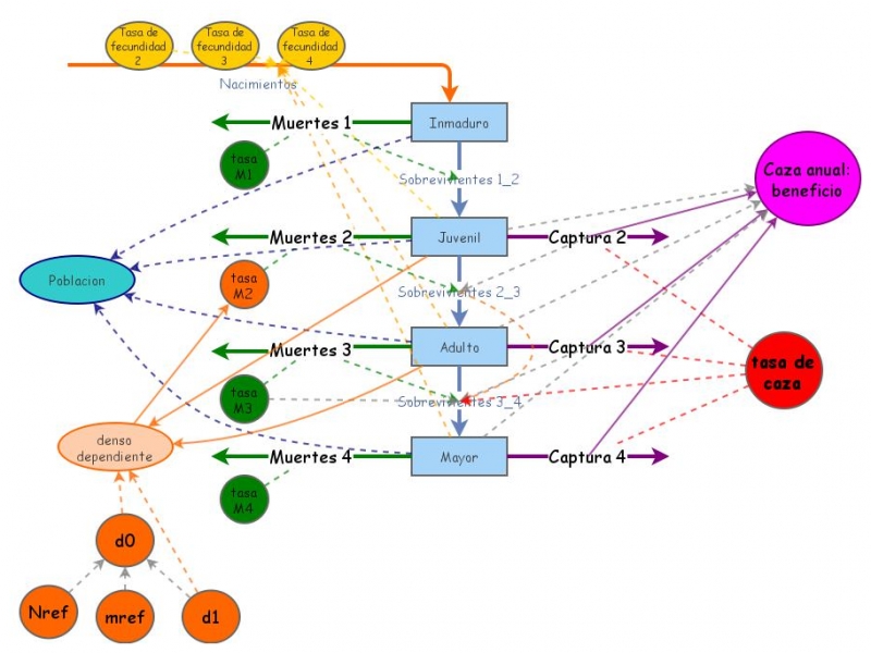 Pamela_Tarea4_base | Insight Maker