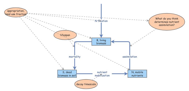 Module 4 Quiz: Boreal Forest Biome | Insight Maker