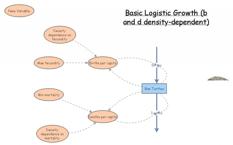 Logistic Growth 1 | Insight Maker