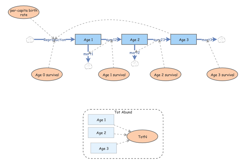 Lab 4 Age Structure Model | Insight Maker