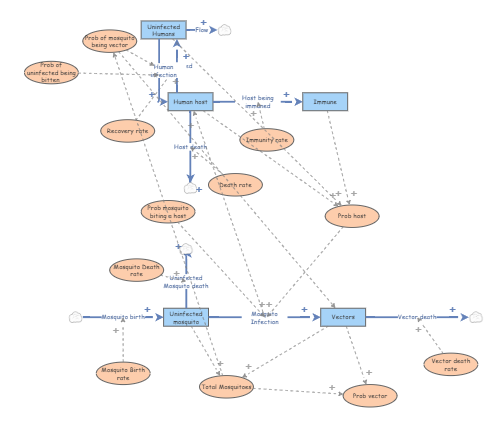 Malaria Dynamics Model | Insight Maker