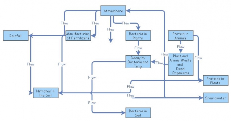 Nitrogen Cycle | Insight Maker