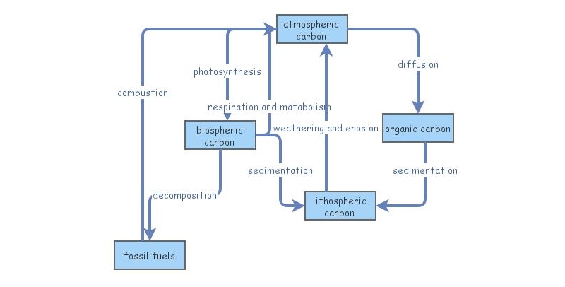 carbon stock and flow | Insight Maker