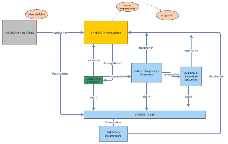 Carbon Stock Flow Model-HANNAH GOLDBERG 2 | Insight Maker