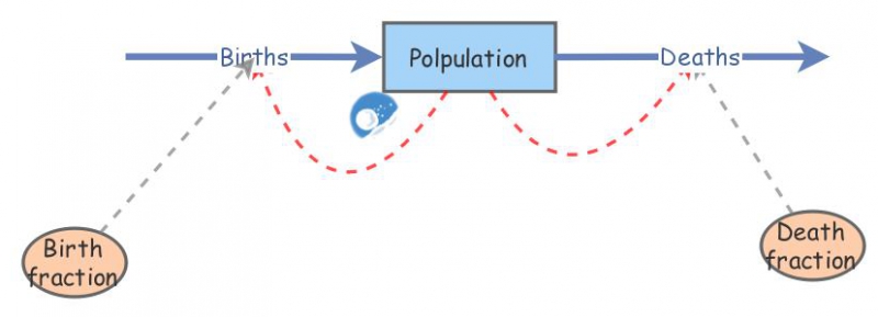 Simple population diagram | Insight Maker