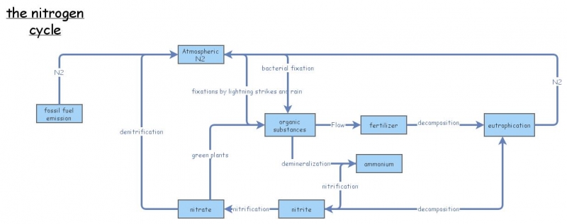 nitrogen cycle | Insight Maker