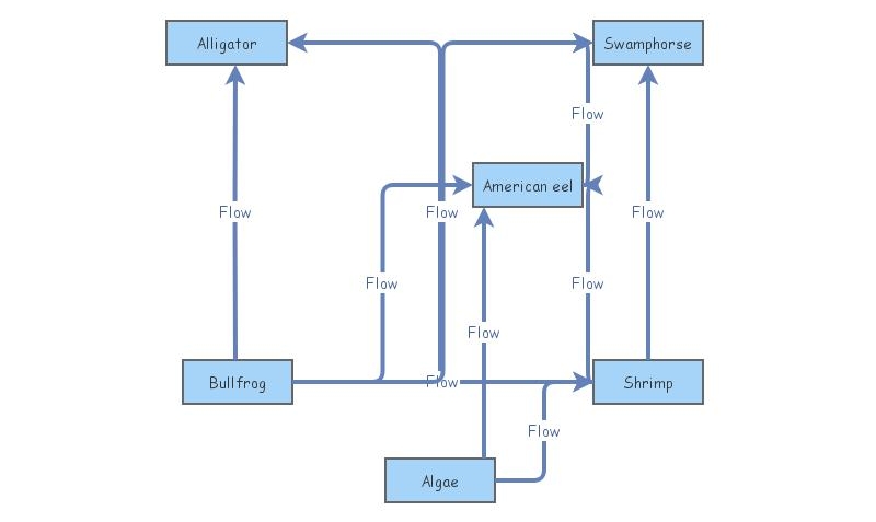 Swamp Food Web Biology Project | Insight Maker
