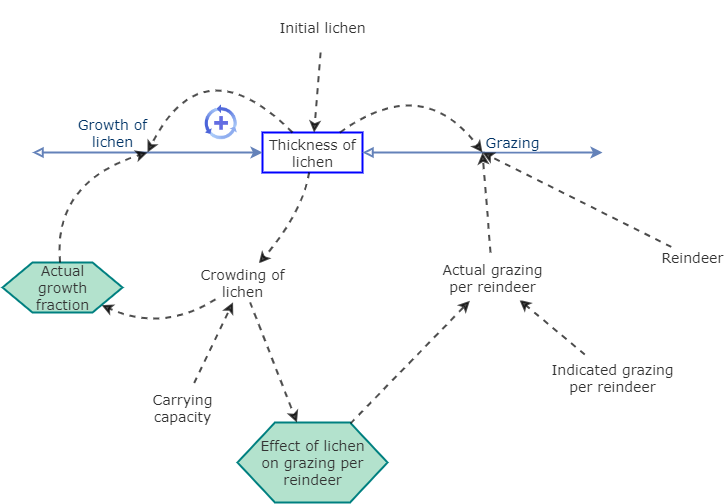 Lichen/reindeer lab work 1 | Insight Maker