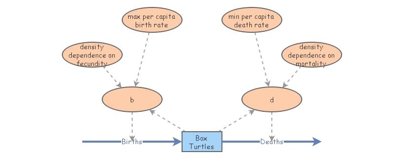 Logistic growth 2 | Insight Maker