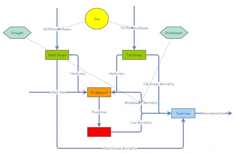 Serengeti Food Web | Insight Maker