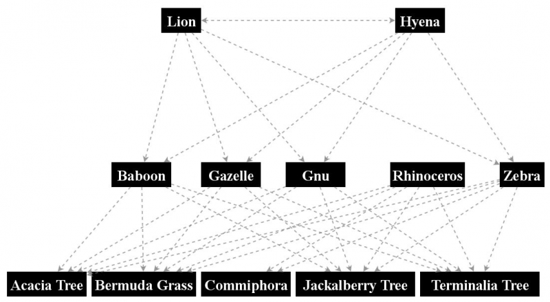 BrainPOP Food Web | Insight Maker