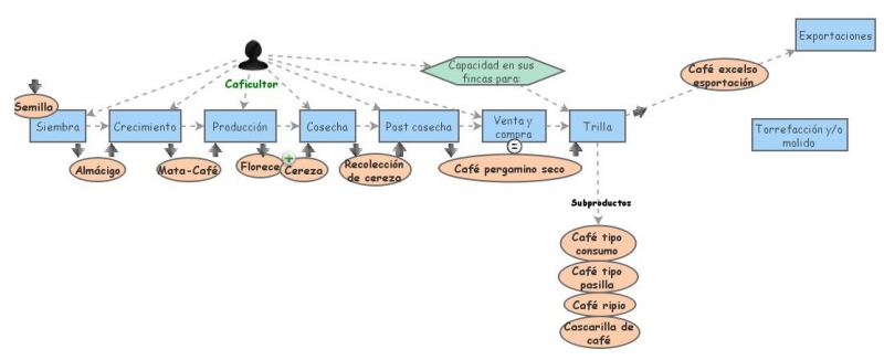 Coffee production process | Insight Maker