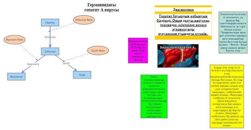 Hepatitis A | Insight Maker