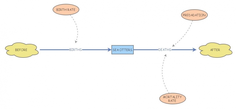 Samm Heupel- Sea Otters | Insight Maker