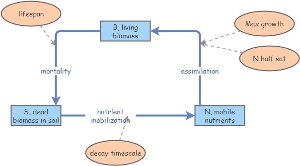 Midterm Exam N Cycle | Insight Maker