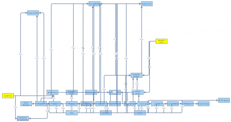 Food Web APES | Insight Maker