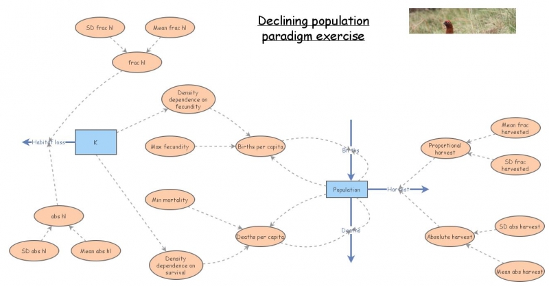 Declining population paradigm | Insight Maker