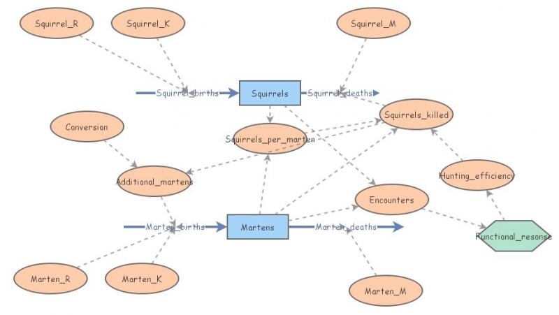 IRP_Martens_Squirrels | Insight Maker
