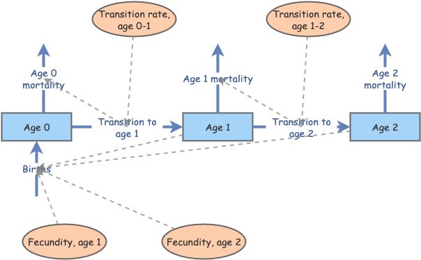 Ex 4 | Insight Maker