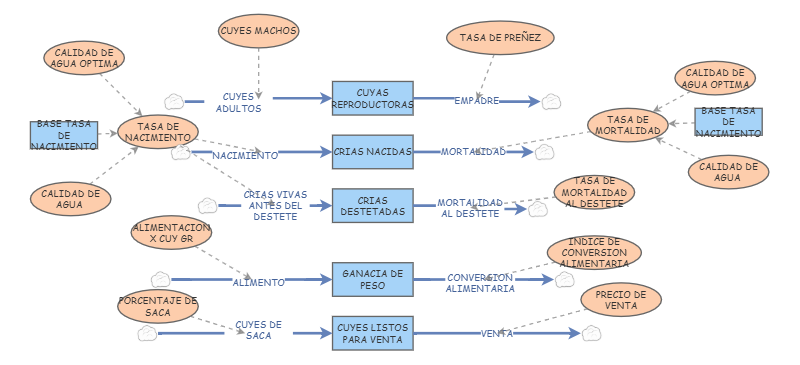 EJERCICIO CUYES | Insight Maker