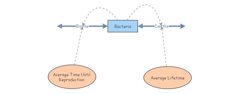 Bacteria | Insight Maker