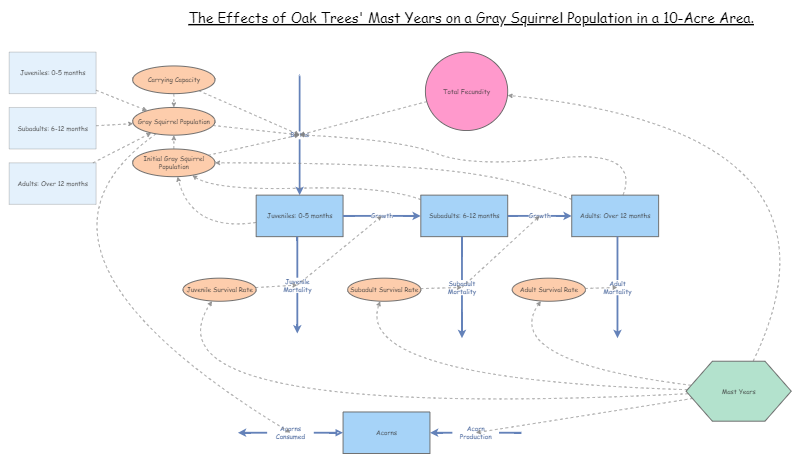 The Effects of Oak Trees' Mast Years on a Gray Squirrel Population | Insight Maker