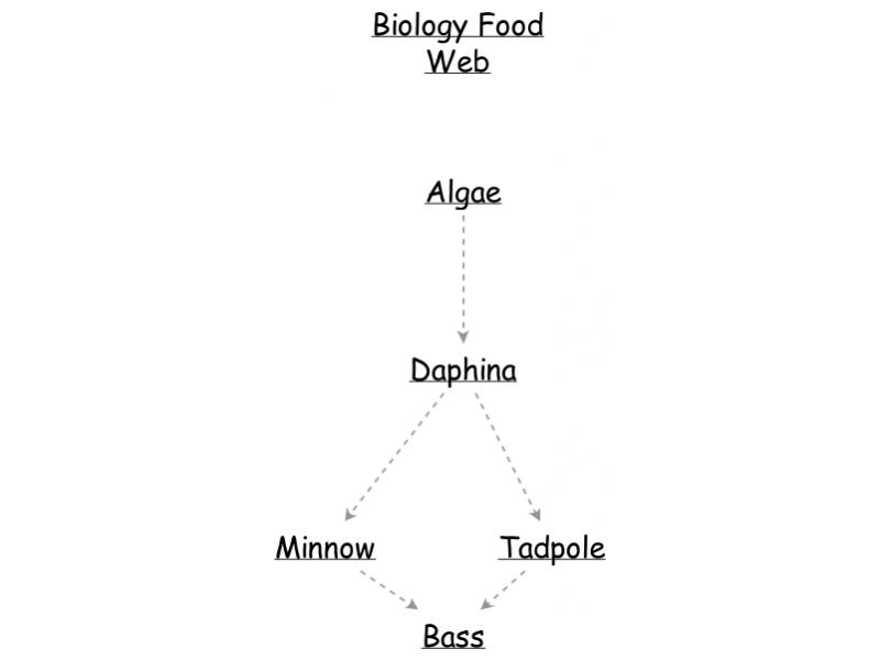 Bio Food Web | Insight Maker